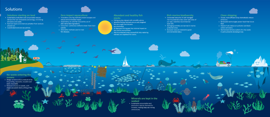 Problems and solutions of our seas - infographic - Seas At Risk