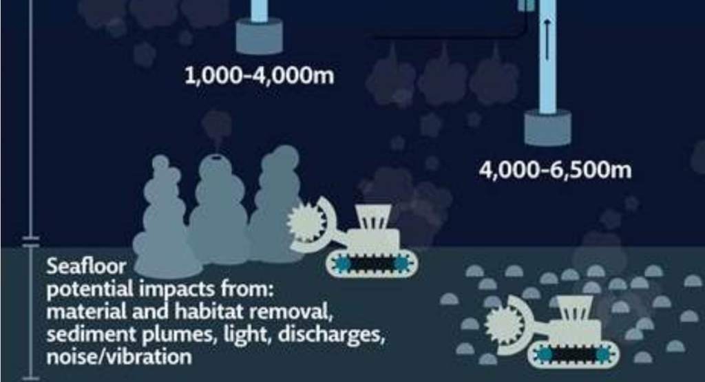 Infographic: environmental impacts of deep-sea mining - Seas At Risk
