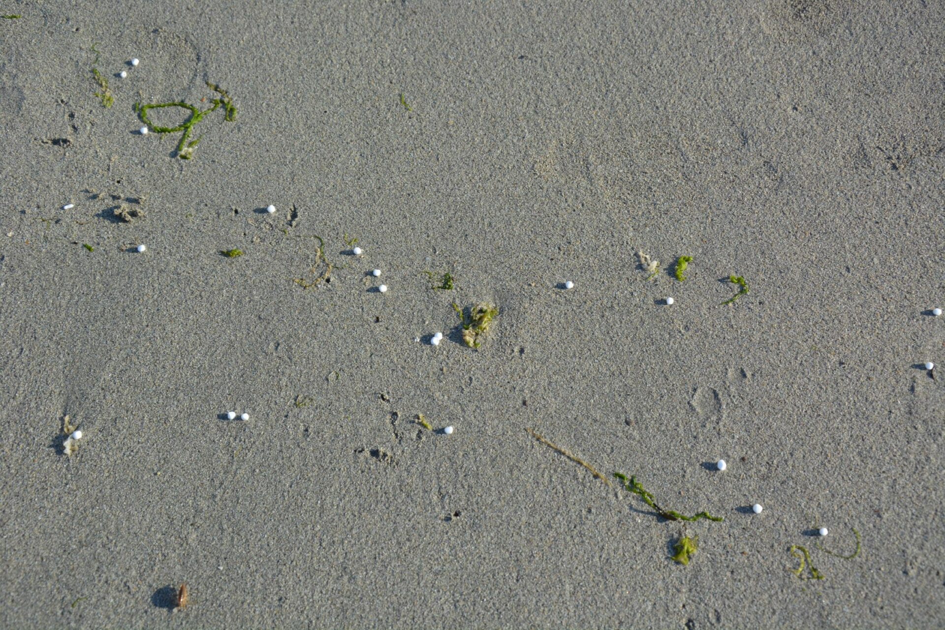 2021 – the year of microplastic? - Seas at Risk
