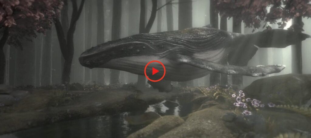 The Green Whale – How whales give us hope in the fight against climate ...