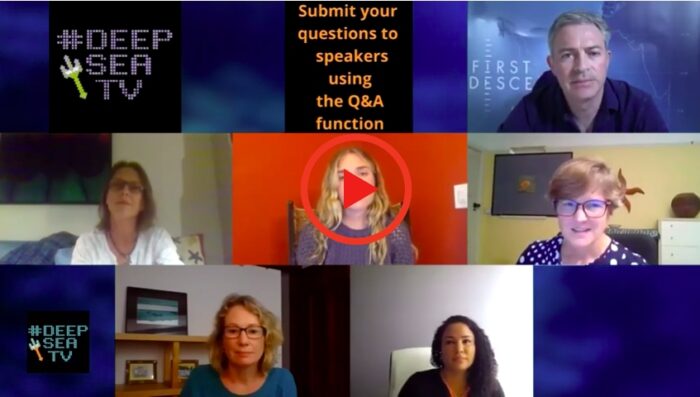 Deep Sea TV - a celebration of the deep sea - Seas At Risk