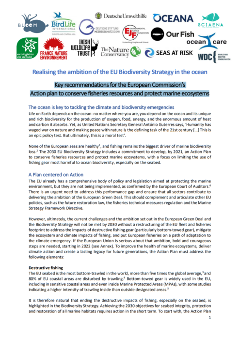 Realising the ambition of the EU Biodiversity Strategy in the ocean ...