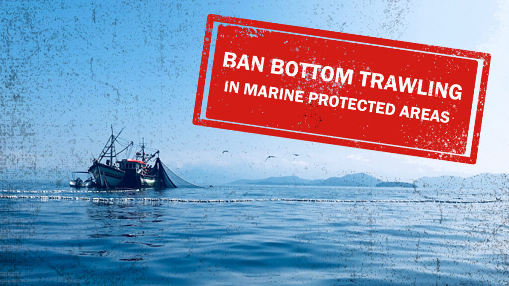 Benefits quickly outweigh costs of banning bottom trawling from Marine ...
