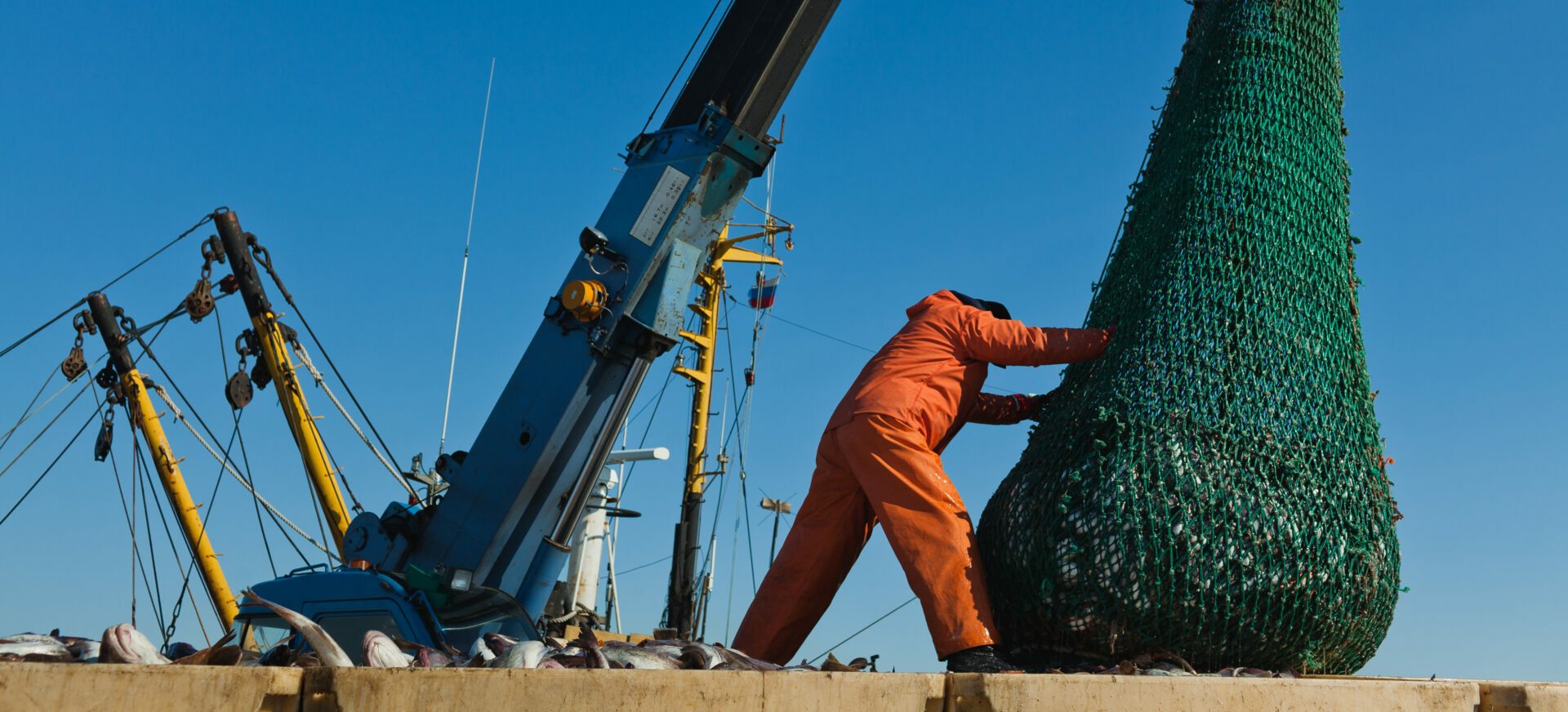 PETITION: Stop bulldozing our ocean! NGOs launch petition to ban bottom ...