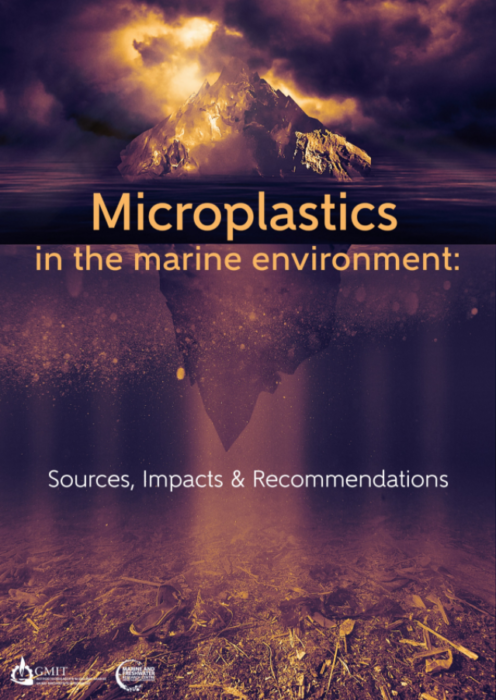Microplastics in the marine environment: Sources, Impacts & Recommendations - Seas At Risk