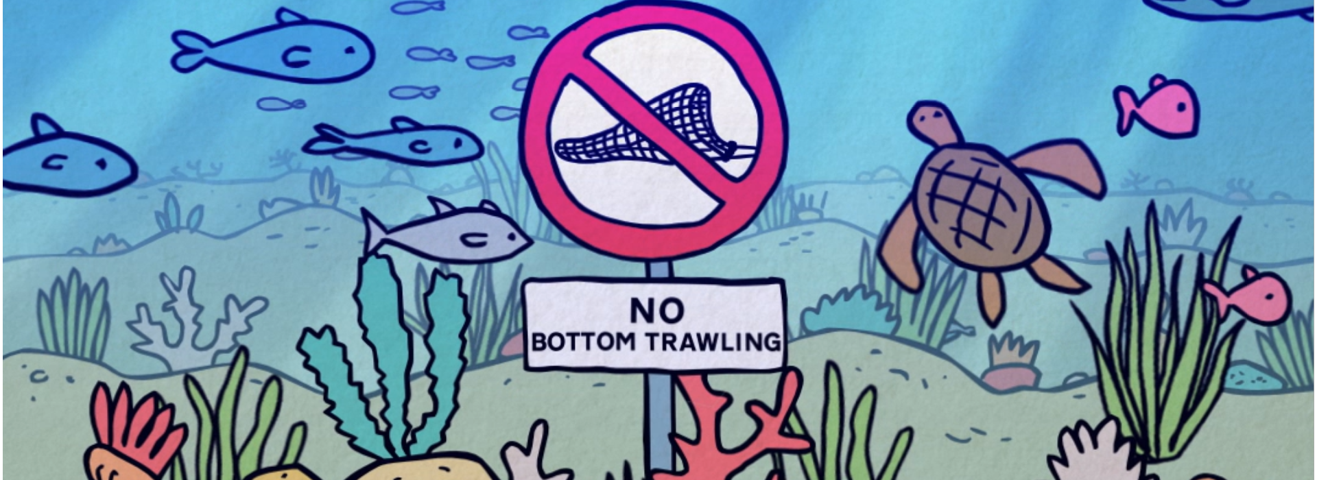 Ban Bottom Trawling in Marine Protected Areas! - Seas at Risk