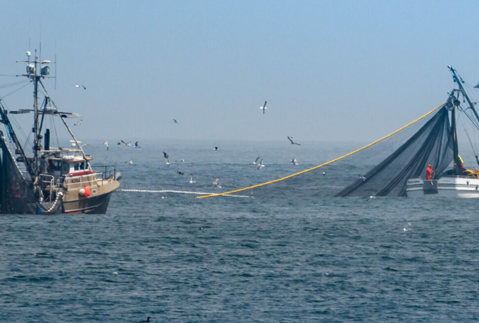 Press Releases Archives - Seas At Risk