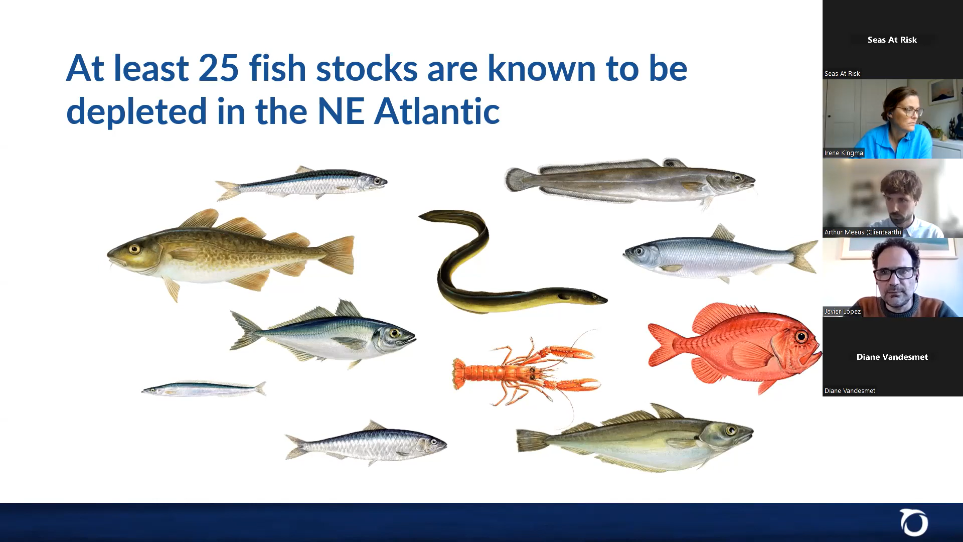 Video: Pre-AGRIFISH NGO Press Briefing 28 November 2022 - Seas At Risk