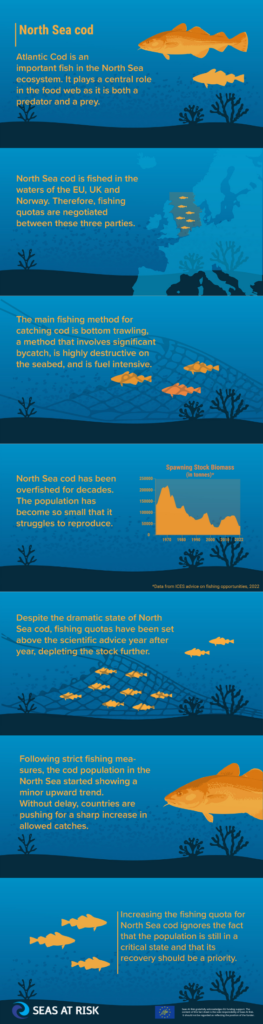 Infographic: End Overfishing of North Sea Cod - Seas At Risk