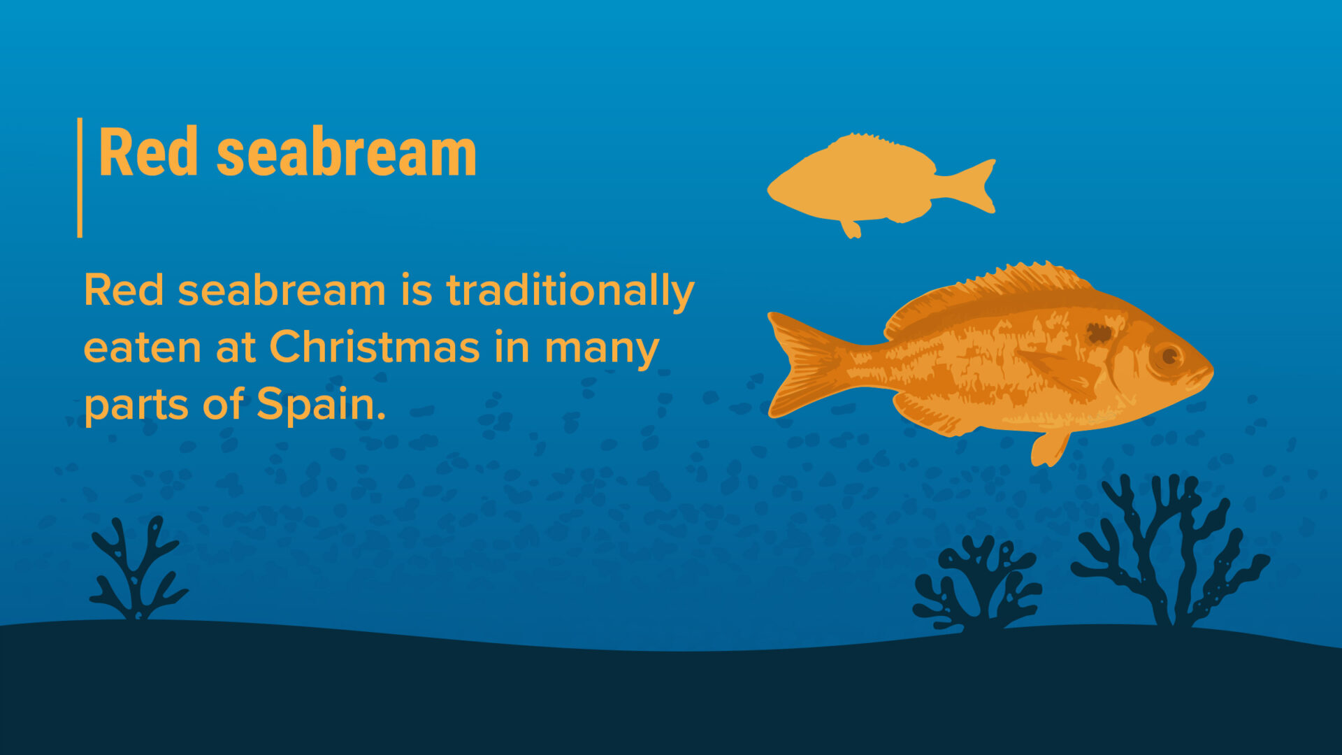 Infographic: End Overfishing of Red Seabream - Seas At Risk