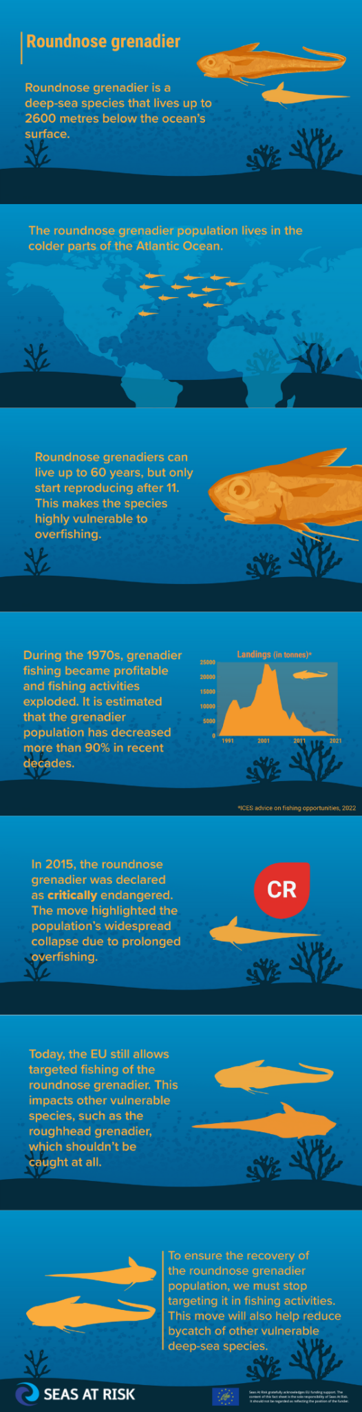Infographic: End Overfishing of Roundnose Grenadier - Seas At Risk