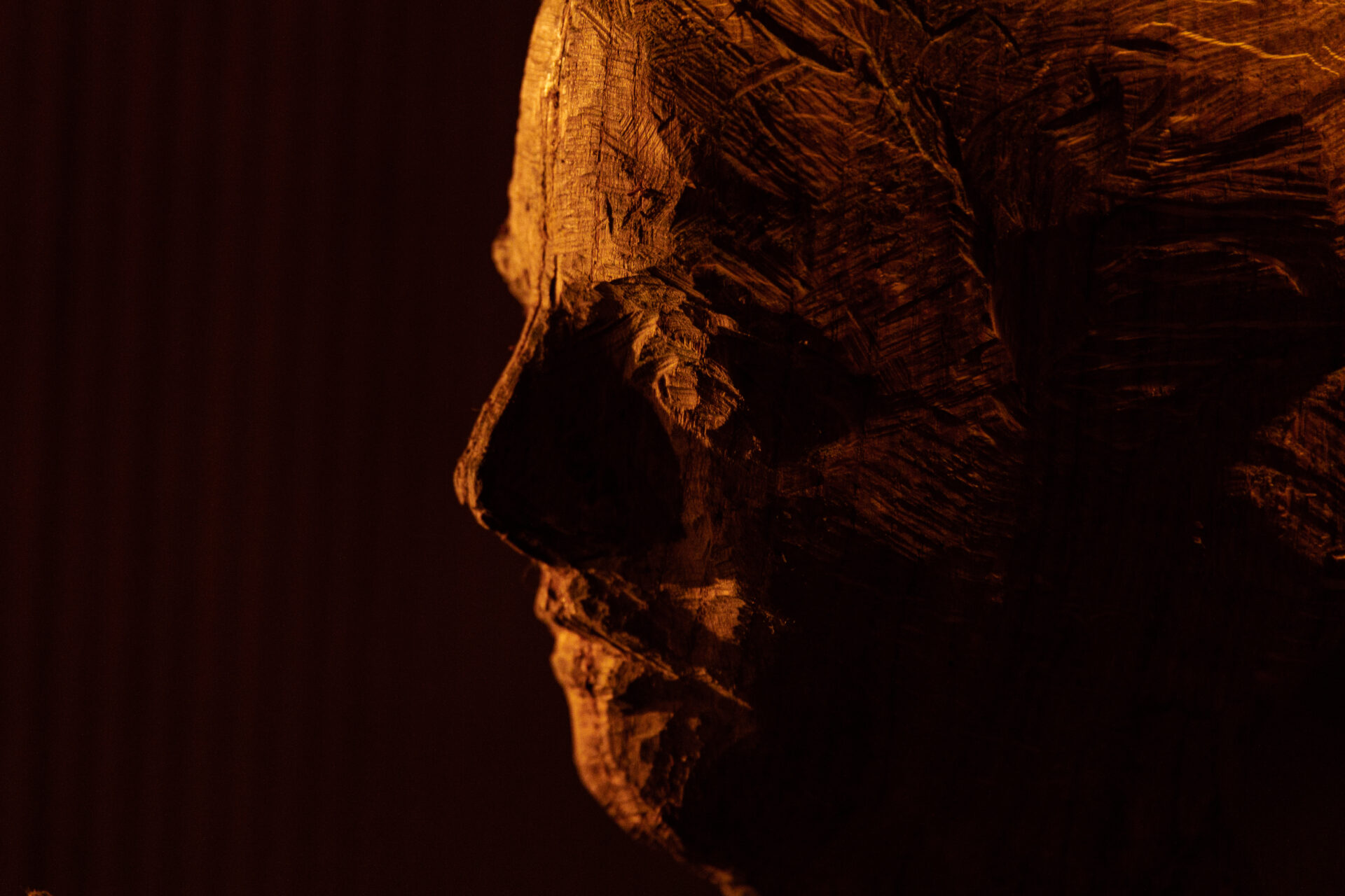 Journey across Europe over, but the Voice of the Fish will echo on ...