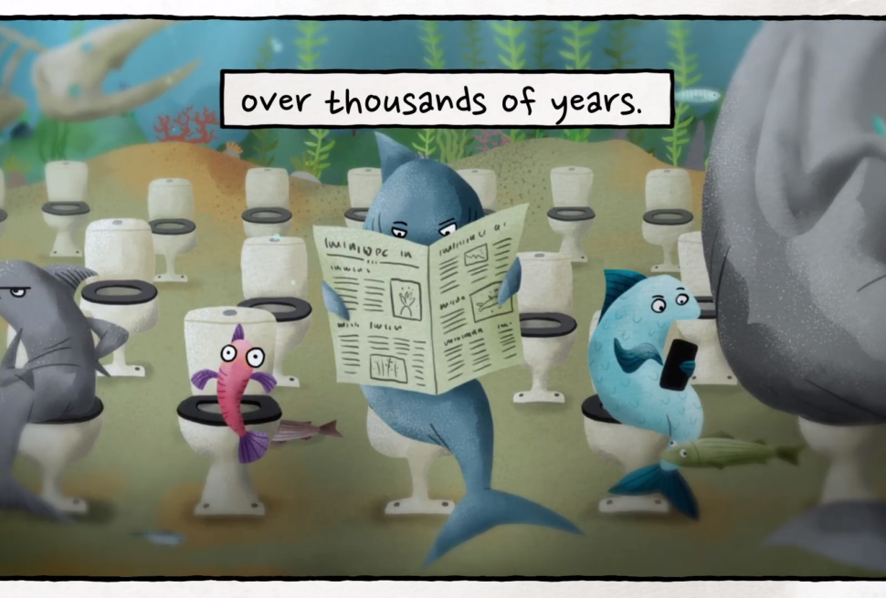 Ban Bottom Trawling in Marine Protected Areas! - Seas at Risk