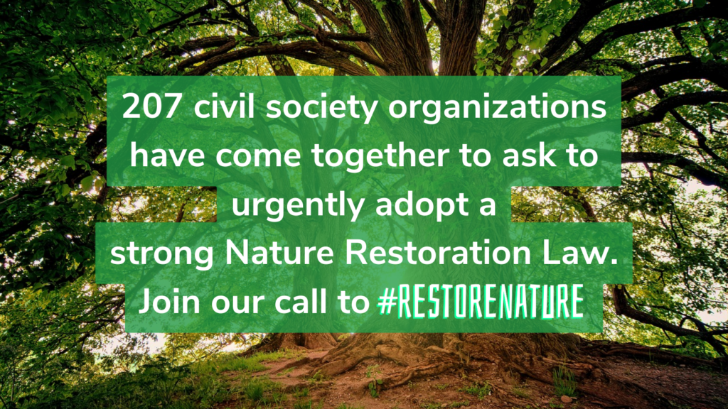 207 organisations call on the EU to adopt a strong Nature Restoration ...