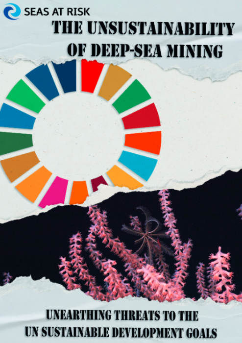 The unsustainability of deep-sea mining: Unearthing threats to the UN ...