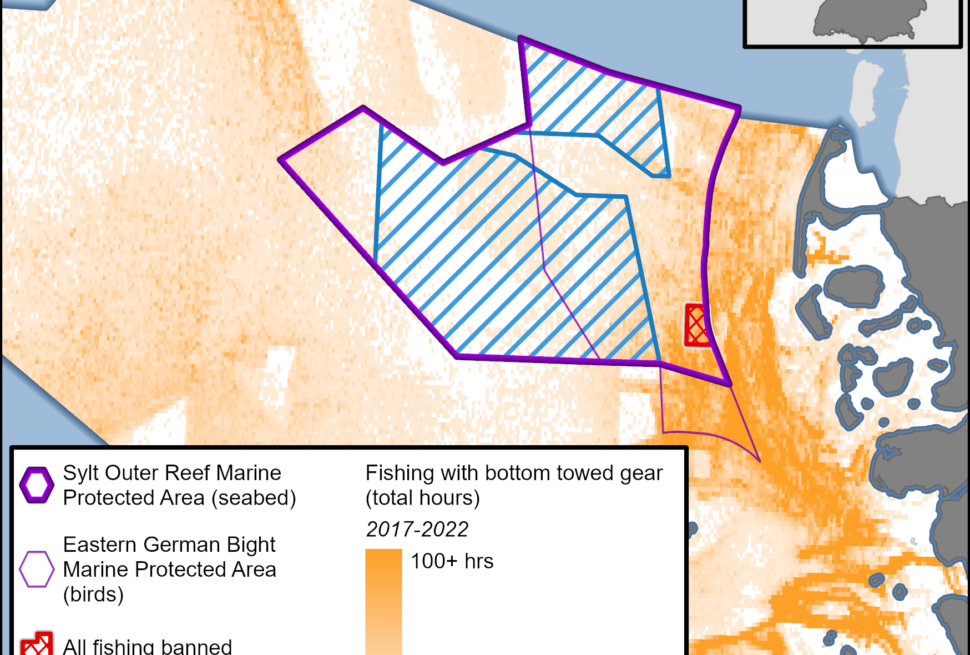 Problems and solutions of our seas - infographic - Seas at Risk
