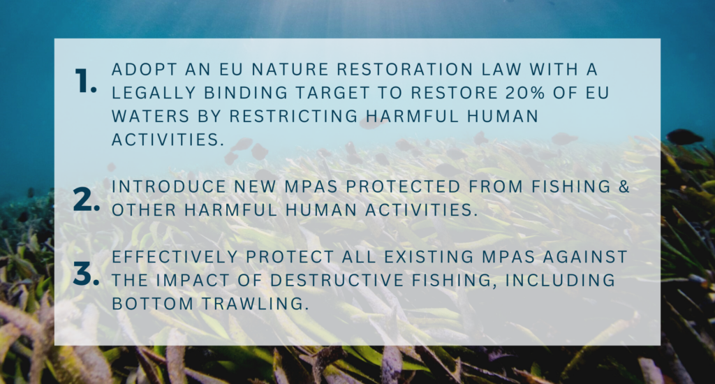 Marine Protected Areas - From paper parks to effective protection ...
