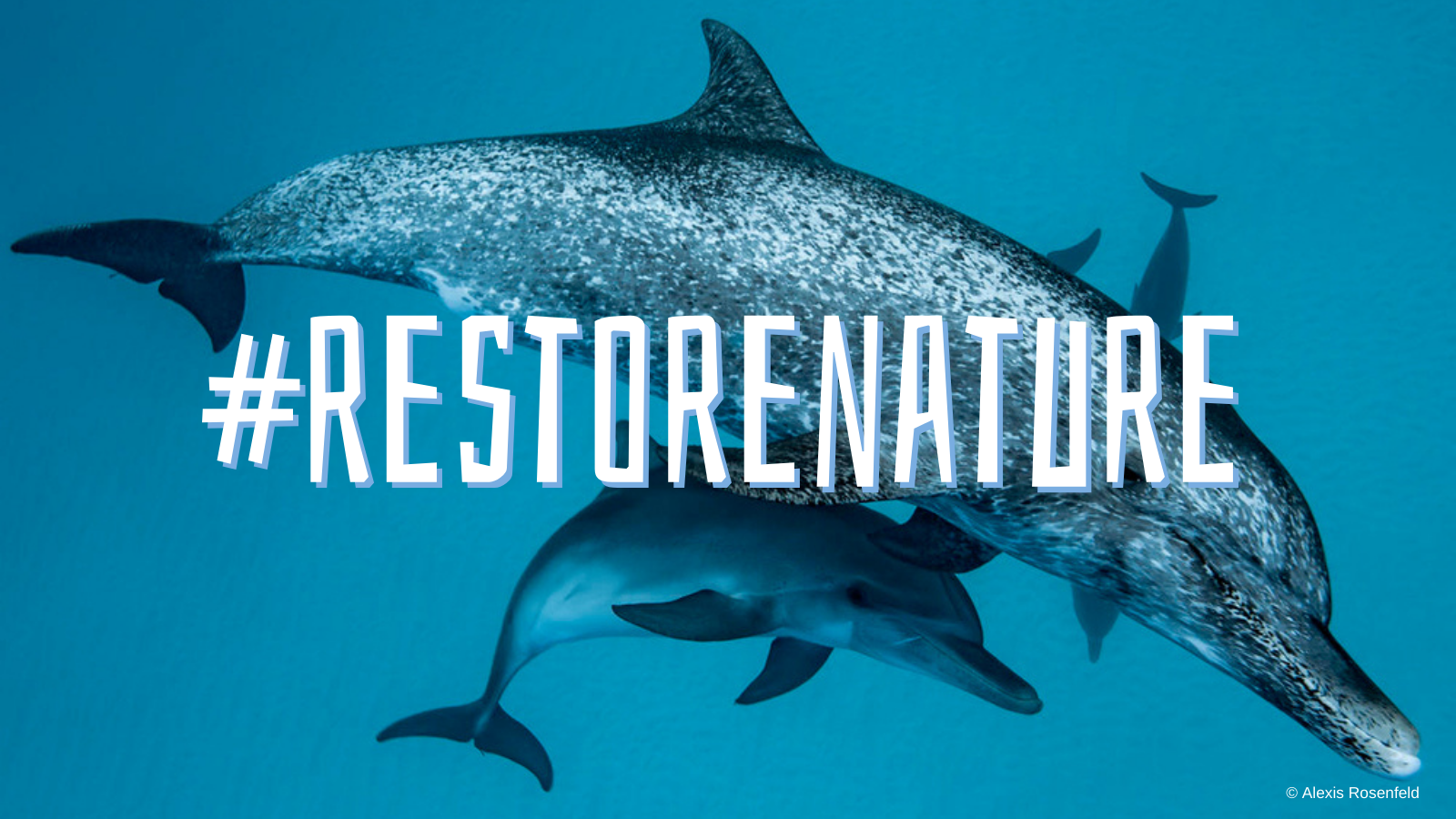 Ask your representatives to #RestoreOcean & #RestoreNature! - Seas At Risk