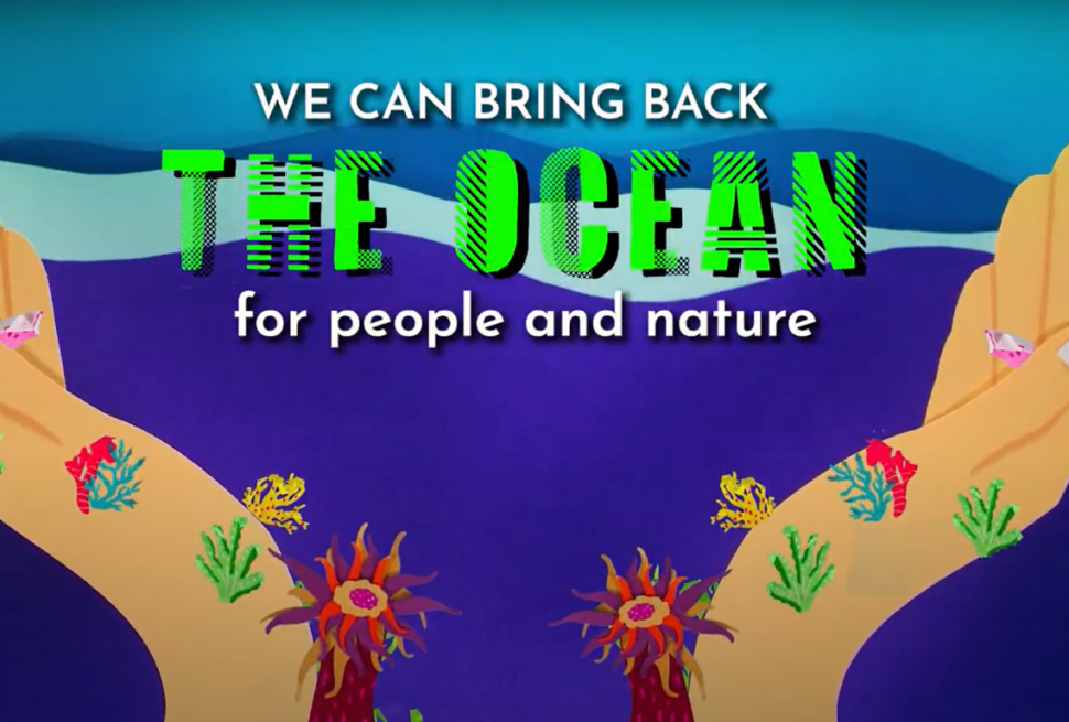 Video: Restoring marine and coastal habitats - Seas at Risk