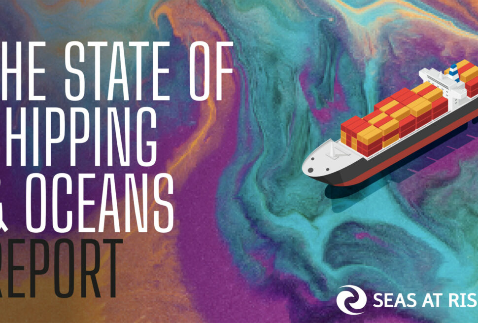 Infographic: plastic and microplastic pollution from ships - Seas at Risk