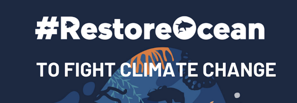 Infographic: #RestoreOcean to fight climate change - Seas At Risk