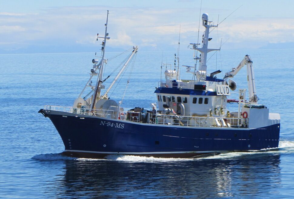 Replacing bottom trawling with less destructive fishing in the EU is ...