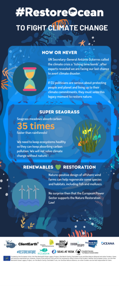 Infographic: #RestoreOcean to fight climate change - Seas At Risk