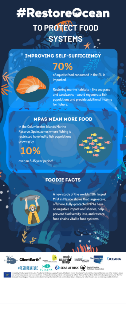 Infographic: #RestoreOcean to protect food systems - Seas At Risk