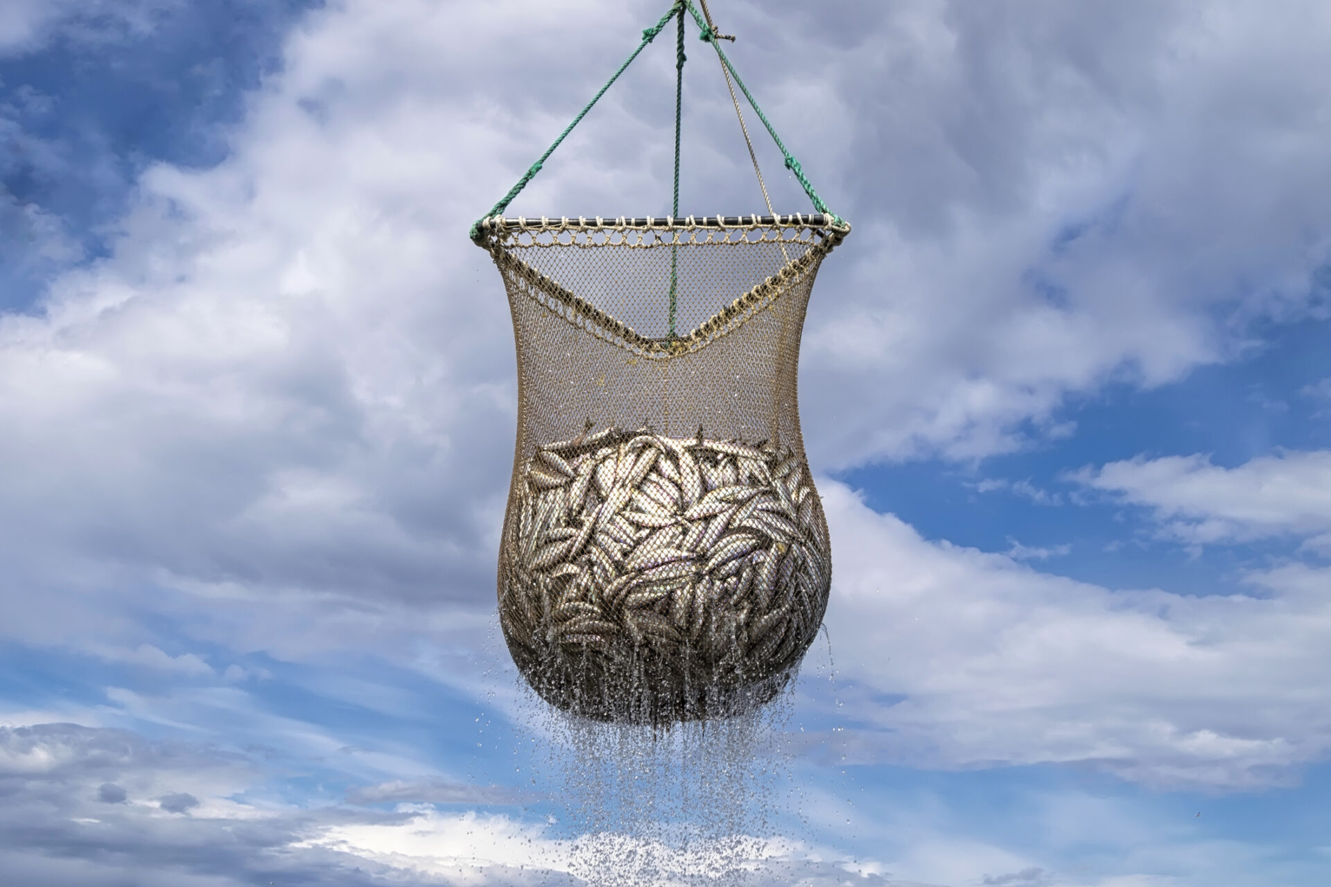 Ending overfishing to counter climate change - Seas At Risk