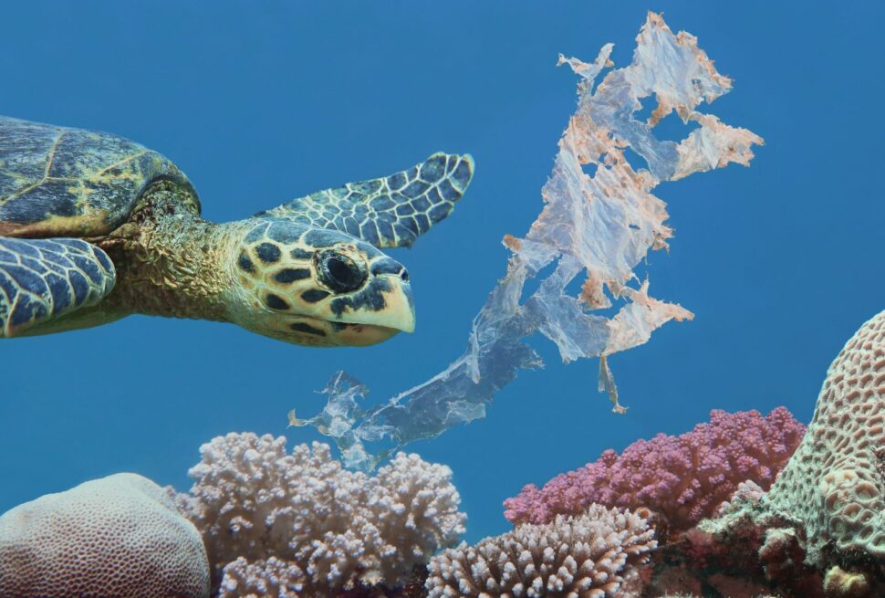 EU Regulation on preventing plastic pellet losses needs mandatory requirements for all operators ...