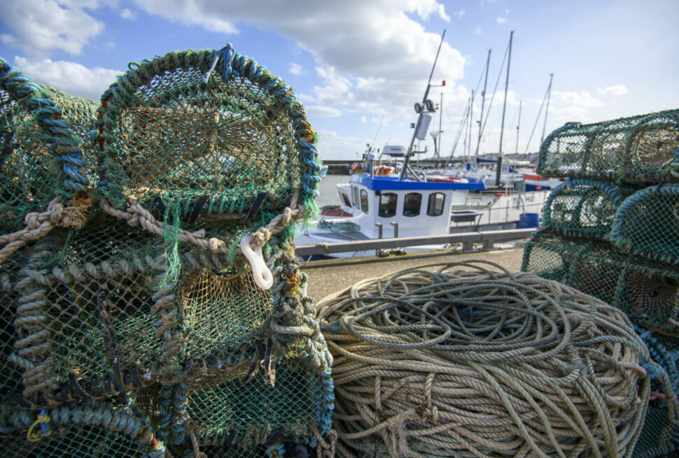 Replacing bottom trawling with less destructive fishing in the EU is ...
