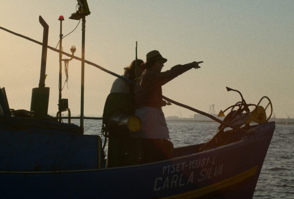 Replacing bottom trawling with less destructive fishing in the EU is ...