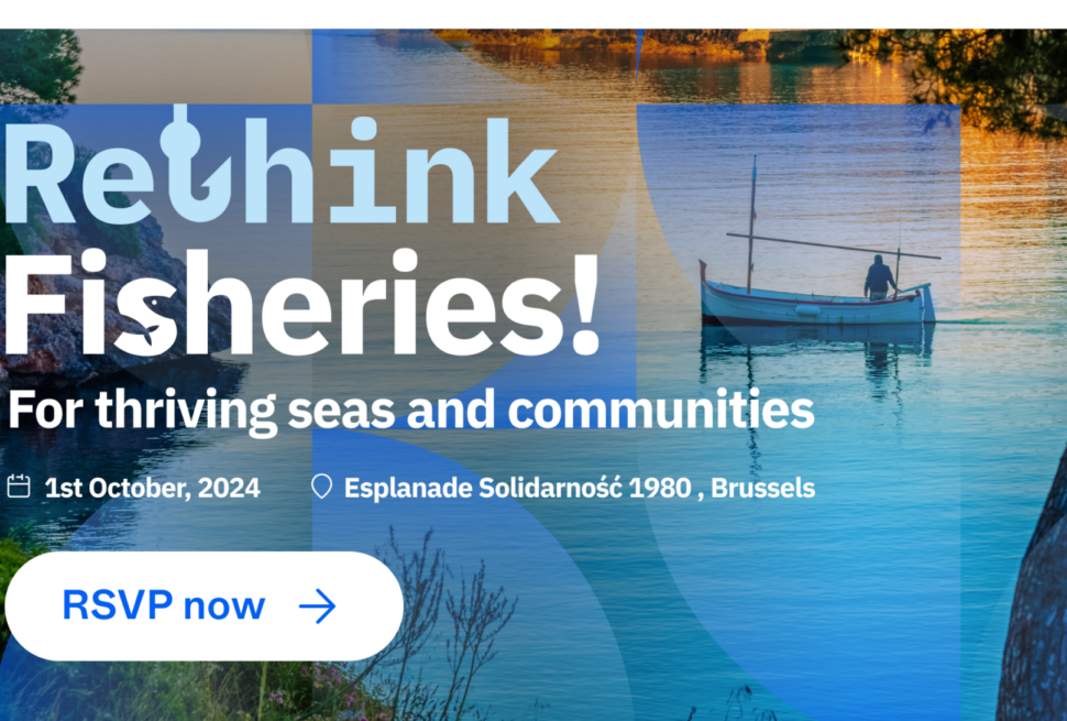 Infographic: End Overfishing of North Sea Cod - Seas At Risk