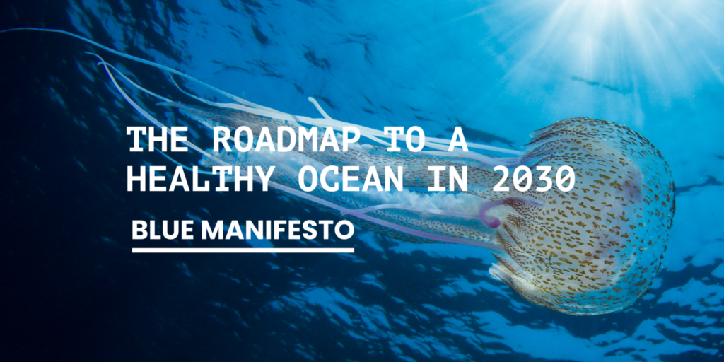 140 organisations call on new EU leadership to prioritise ocean health ...