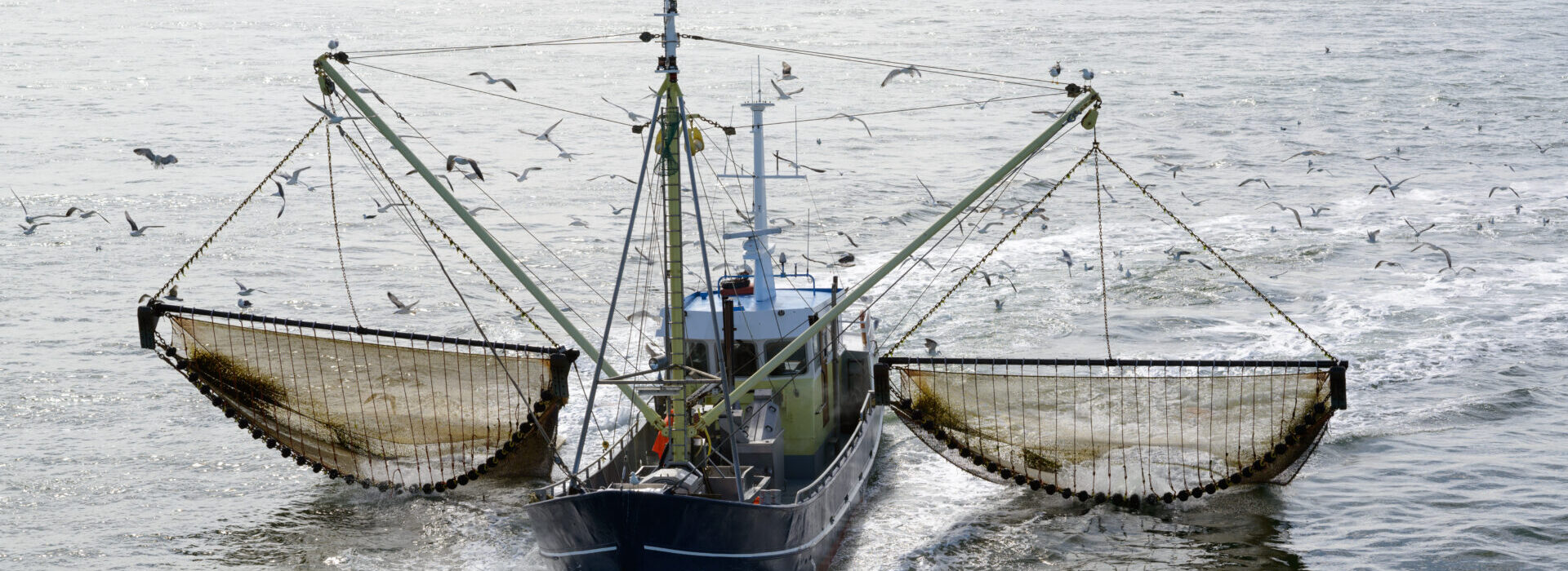 As EU Ocean Days conclude, civil society, fishers, and the scientific ...