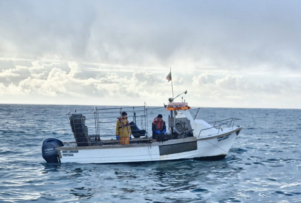 Ending overfishing to counter climate change - Seas At Risk