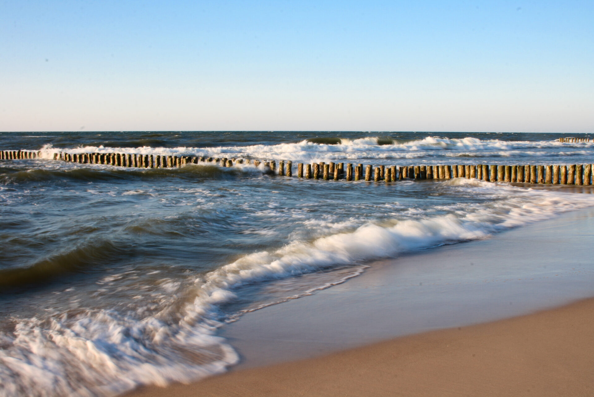 NGOs to EU decision makers: Commit to a Genuine Baltic Sea Recovery ...