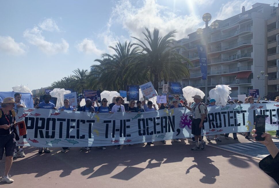 140 organisations call on new EU leadership to prioritise ocean health ...