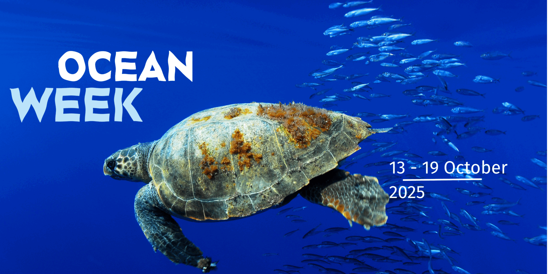 Ocean Week 2025 - Seas At Risk
