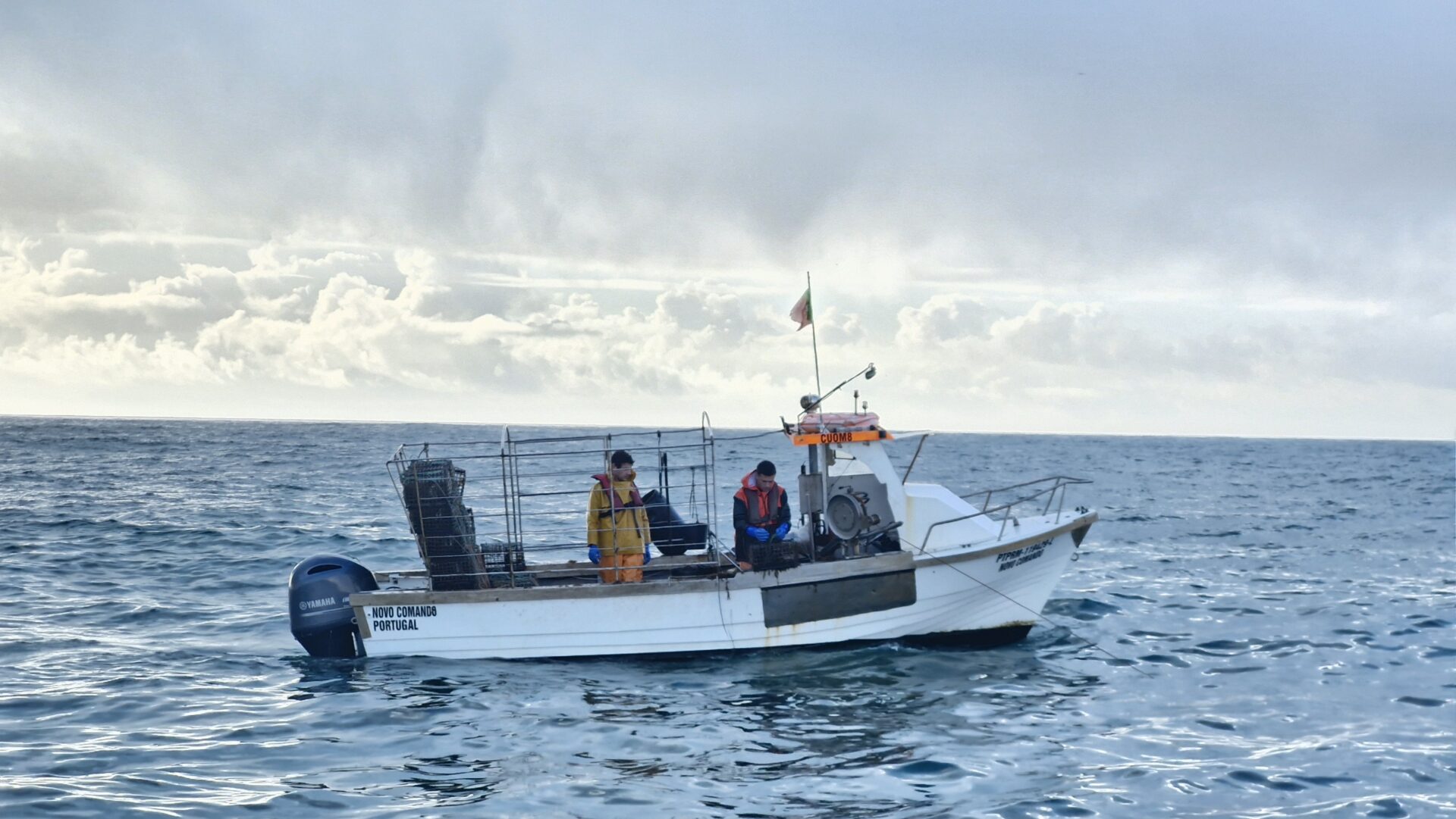 Allocation of EU fishing quotas: NGOs welcome new Commission’s ...