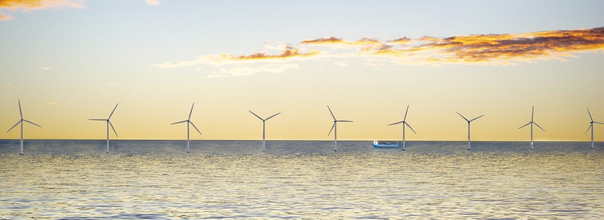 Designing tomorrow: Policies for nature-inclusive offshore wind ...
