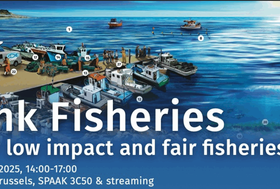 Ending overfishing to counter climate change - Seas At Risk